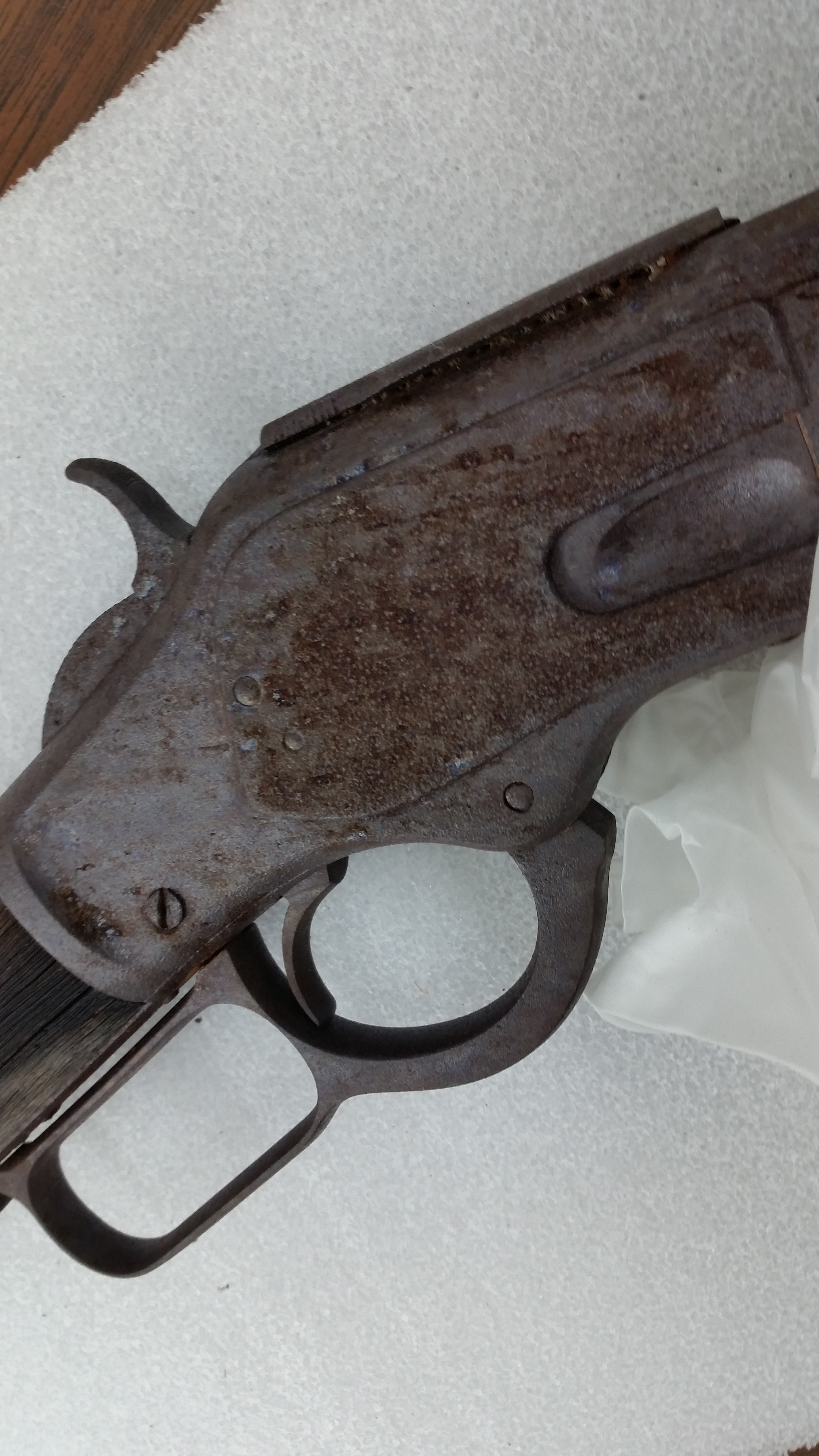 132-year-old Model 1873 found against a tree at Great Basin National Park.
