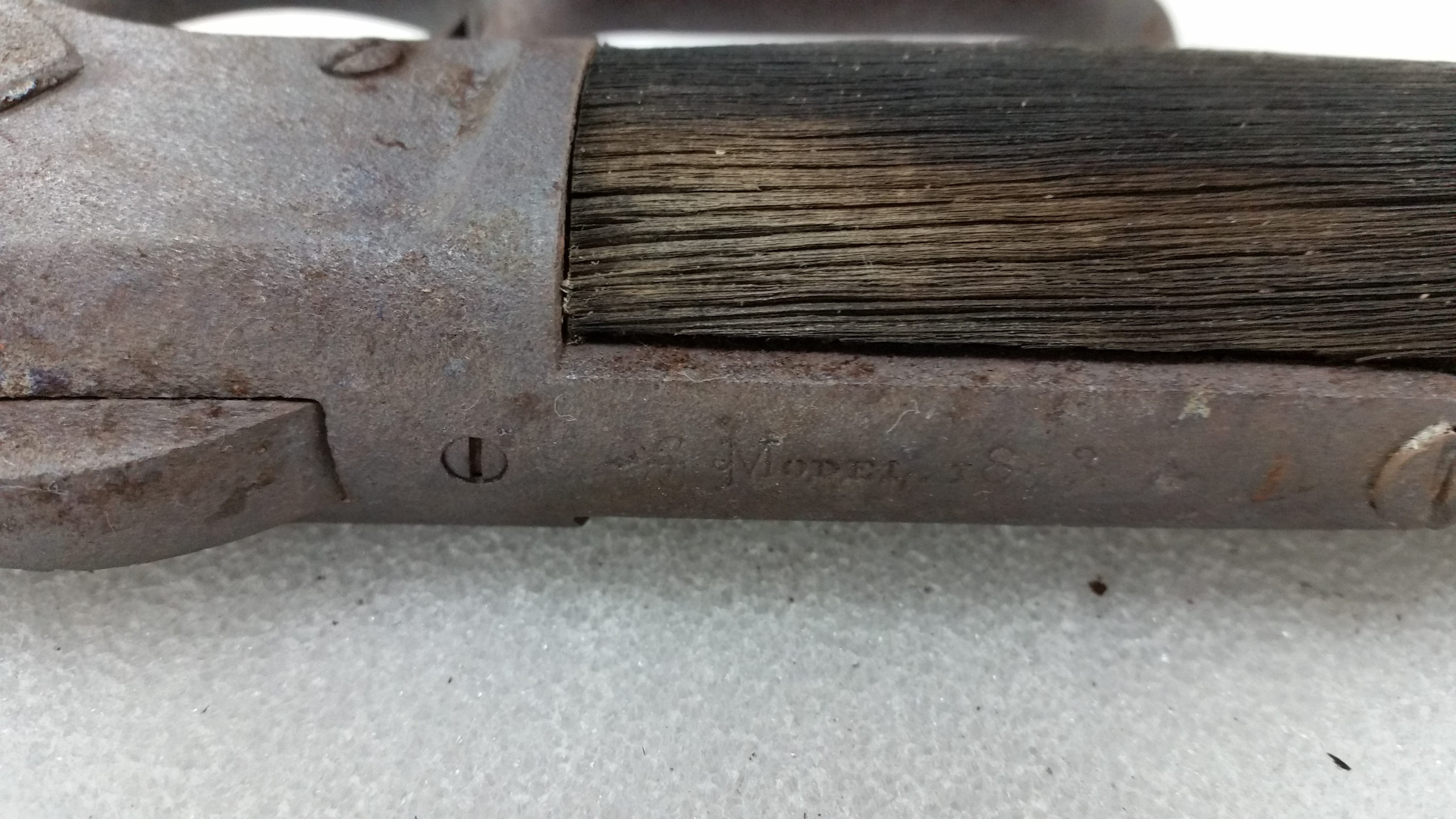 132-year-old Model 1873 found against a tree at Great Basin National Park.