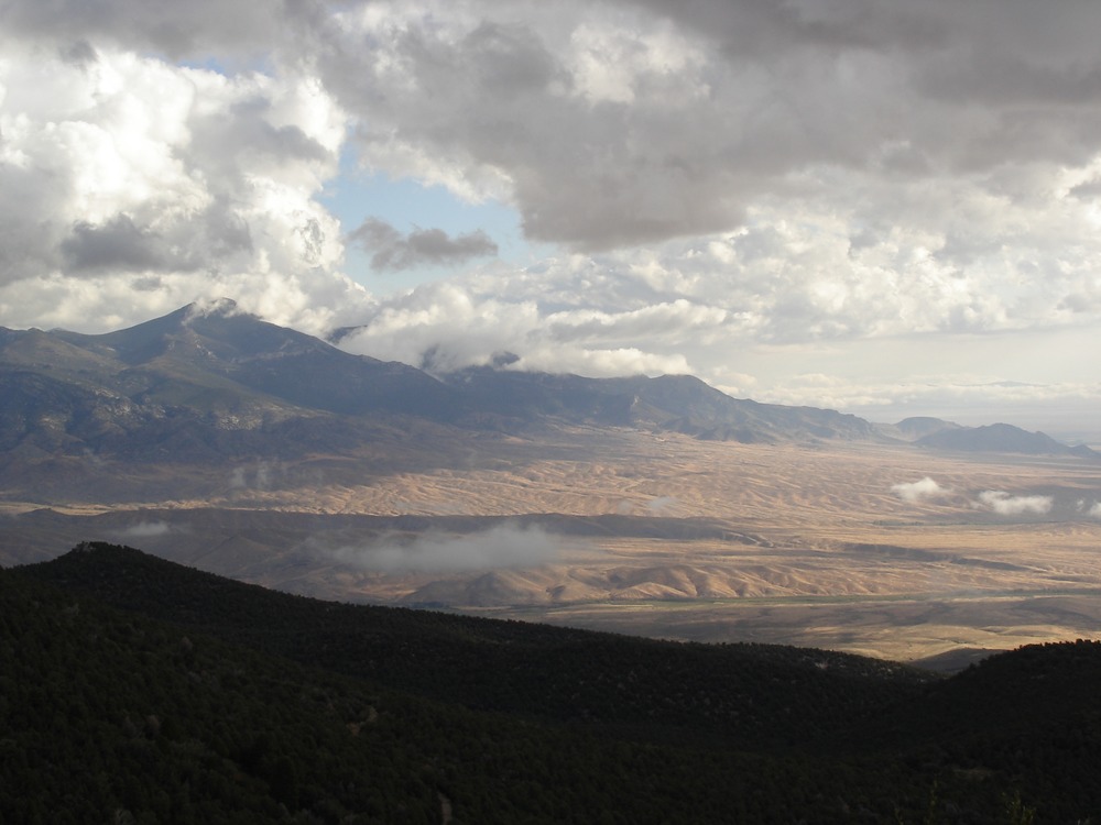 132-year-old Model 1873 found against a tree at Great Basin National Park.