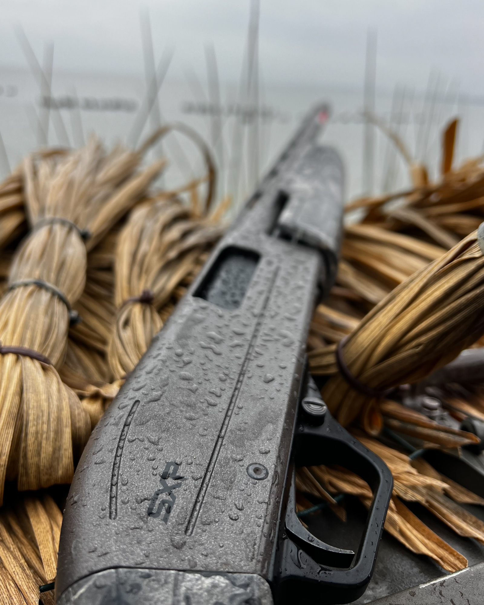 Successful Duck Hunting: A Look Into The Heart Of Waterfowling