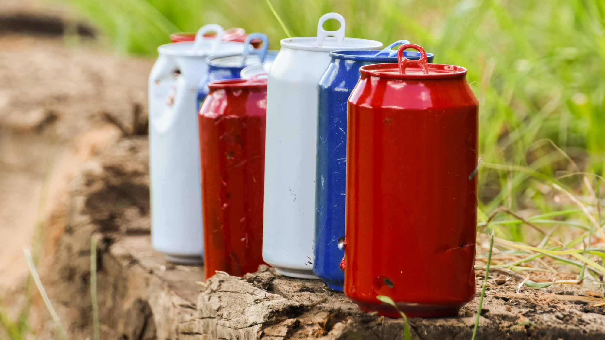 Winchester’s Top-Tier Plinkers